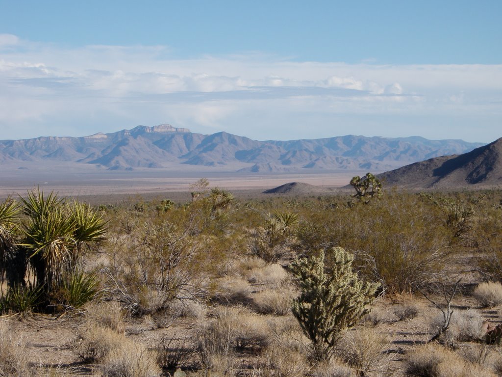 Arizona Unit 15BE Unit Profile // GOHUNT. The Hunting Company