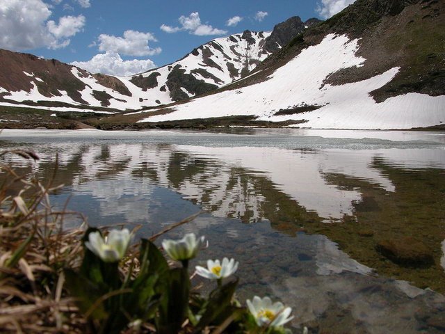 Colorado Unit S41 Unit Profile // GOHUNT. The Hunting Company