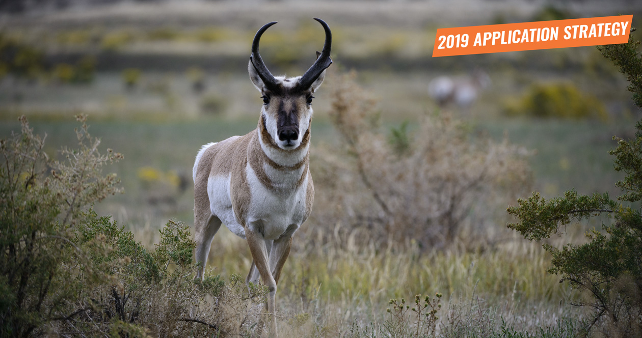 APPLICATION STRATEGY 2019: Idaho Antelope // GOHUNT. The Hunting Company