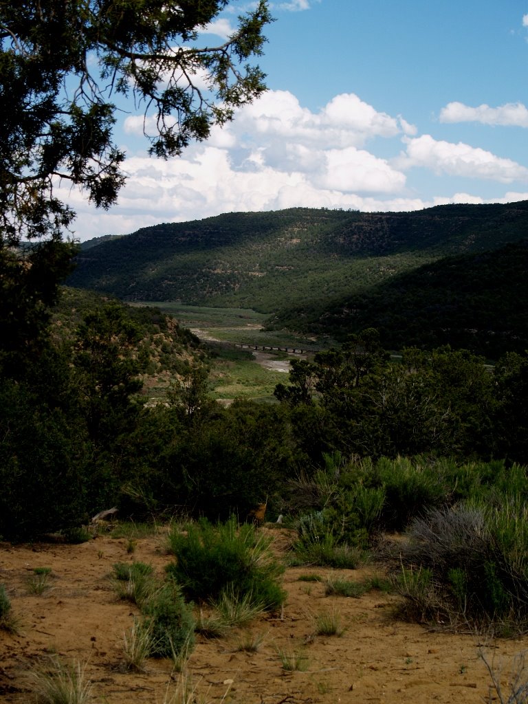 New Mexico Unit 2B Unit Profile // GOHUNT. The Hunting Company