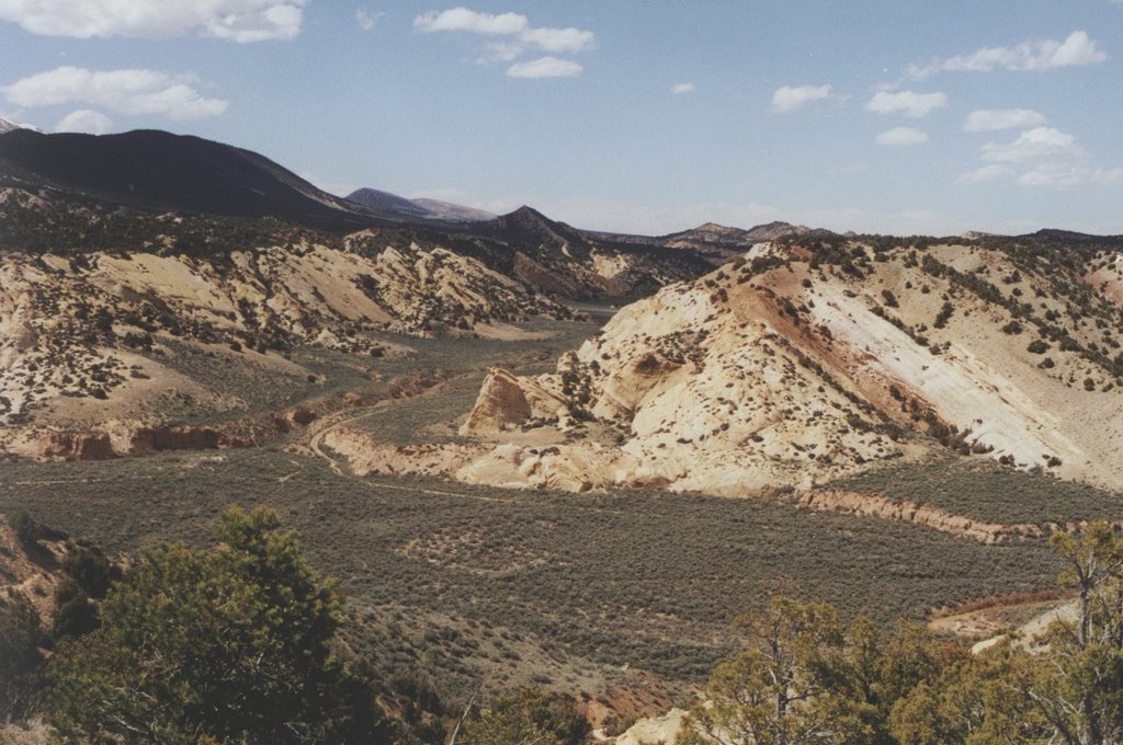 Colorado Unit 201 Unit Profile // GOHUNT. The Hunting Company