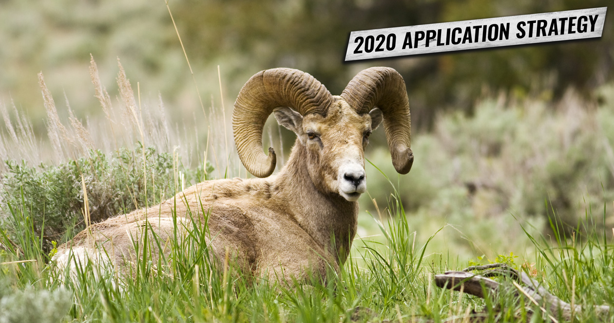 APPLICATION STRATEGY 2020: Oregon Bighorn Sheep and Mountain Goat // GOHUNT. The Hunting Company