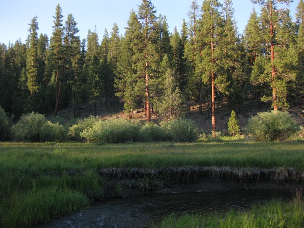 Oregon Unit 72 - Silvies Unit Profile // GOHUNT. The Hunting Company