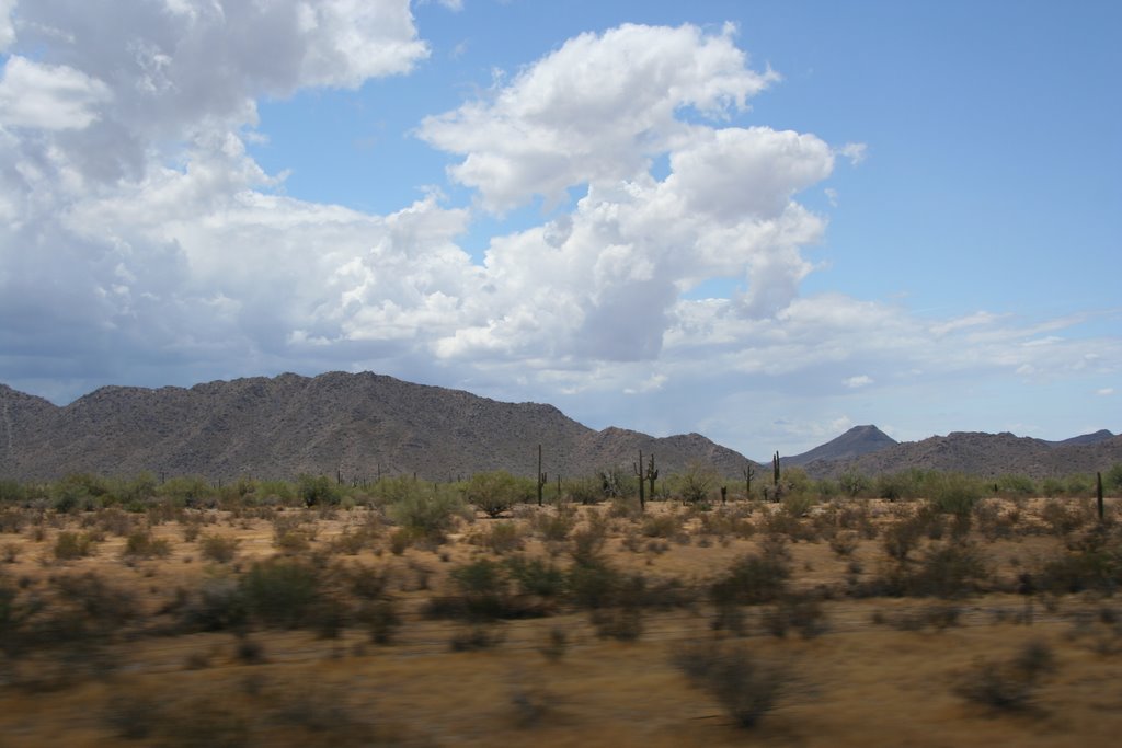 Arizona Unit 39 Unit Profile - 5 Hunters are talking about this Unit ...