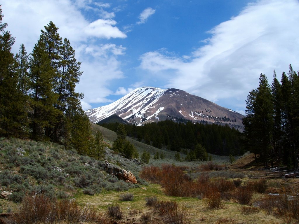 Montana Hunt District 303 Unit Profile // GOHUNT. The Hunting Company