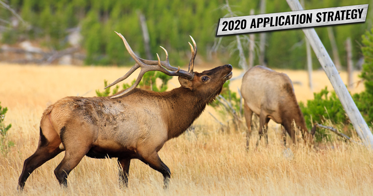 APPLICATION STRATEGY 2020: Washington Deer and Elk // GOHUNT. The Hunting Company