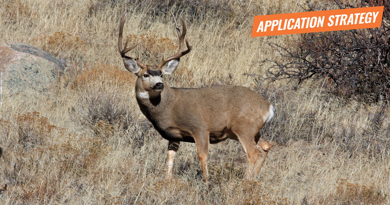 APPLICATION STRATEGY 2018: Oregon Deer // GOHUNT. The Hunting Company