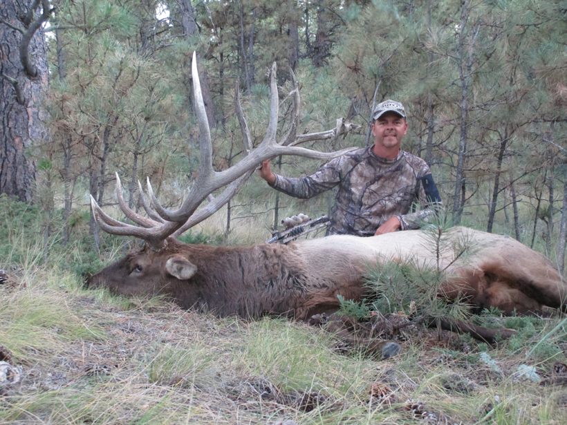 The pros and cons of elk hunting alone // GOHUNT. The Hunting Company