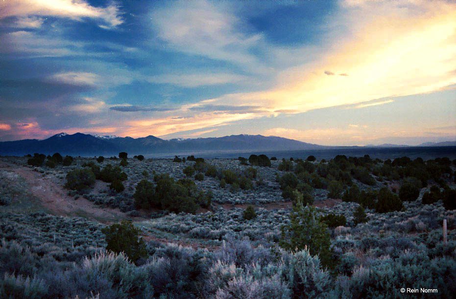New Mexico Unit 49 Unit Profile - 49 Hunters are talking about this ...