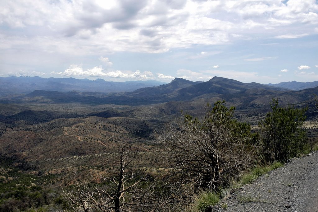 Arizona Unit 21 Unit Profile - 26 Hunters are talking about this Unit ...