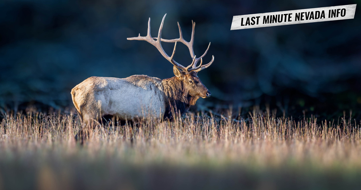 Alert: Proposed 2019-2020 Nevada Big Game Tag Quotas // GOHUNT. The ...