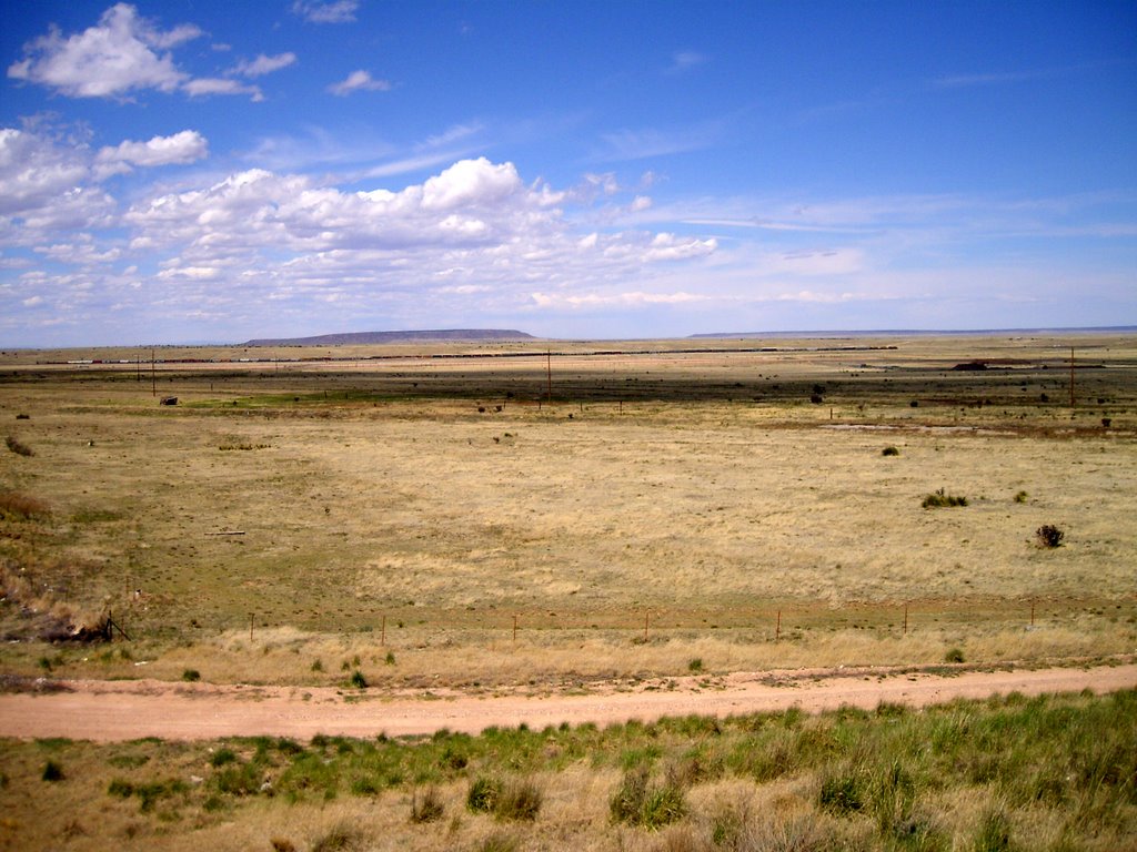 New Mexico Unit 38 Unit Profile // GOHUNT. The Hunting Company