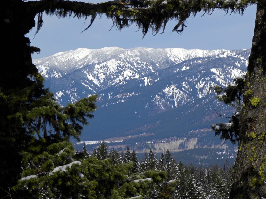 Montana Hunt District 125 Unit Profile // GOHUNT. The Hunting Company