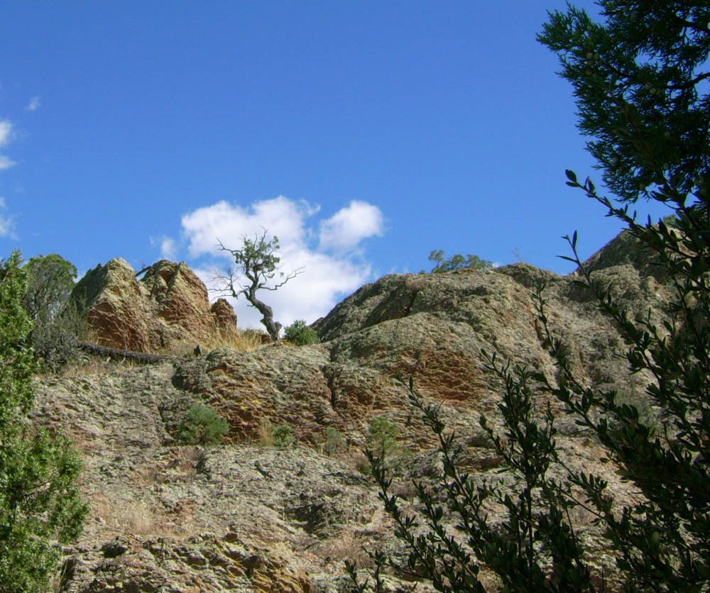 New Mexico Unit 24 Unit Profile // GOHUNT. The Hunting Company