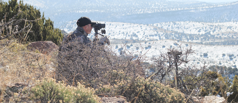 Get in the game: Arizona's endless bowhunting opportunities // GOHUNT ...