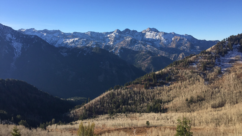 Late season mule deer hunting at its finest // GOHUNT. The Hunting Company