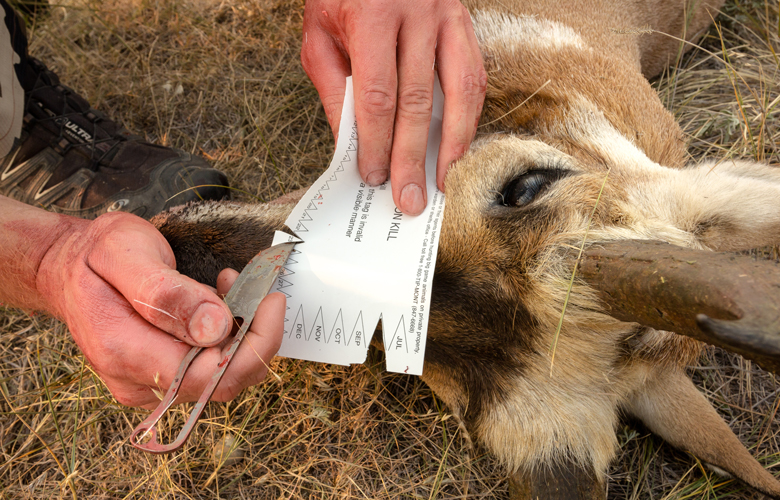 Hunters fighting hunger // GOHUNT. The Hunting Company