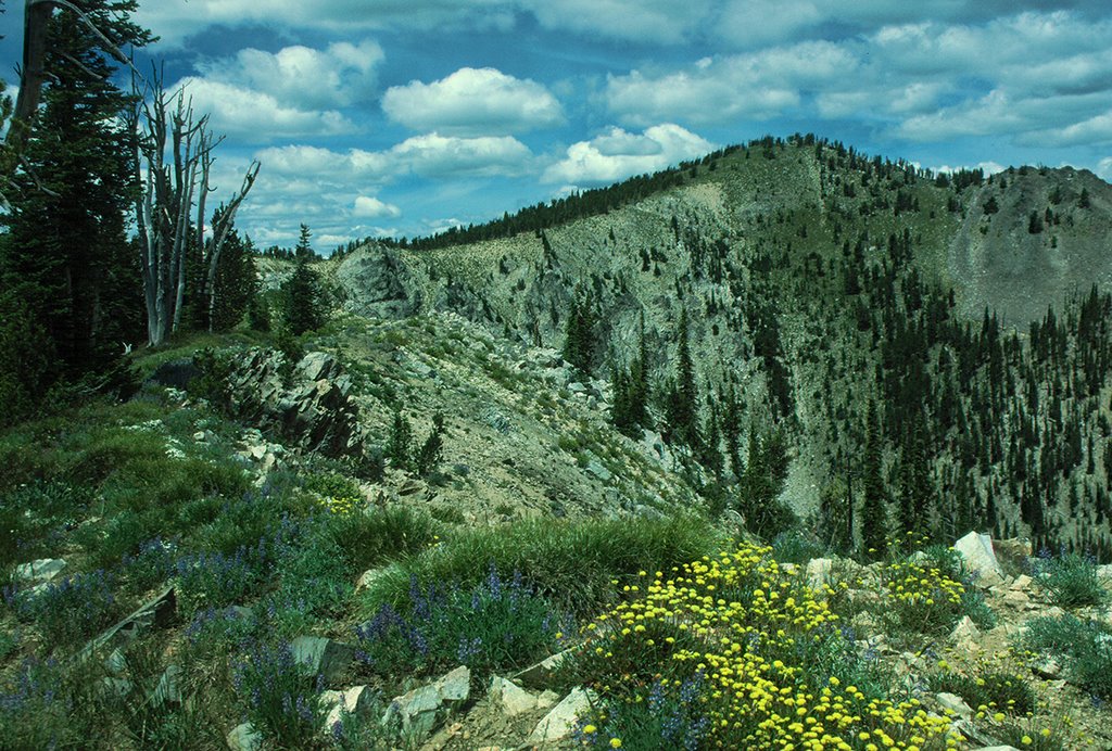 Idaho Unit 27-5 Unit Profile // GOHUNT. The Hunting Company