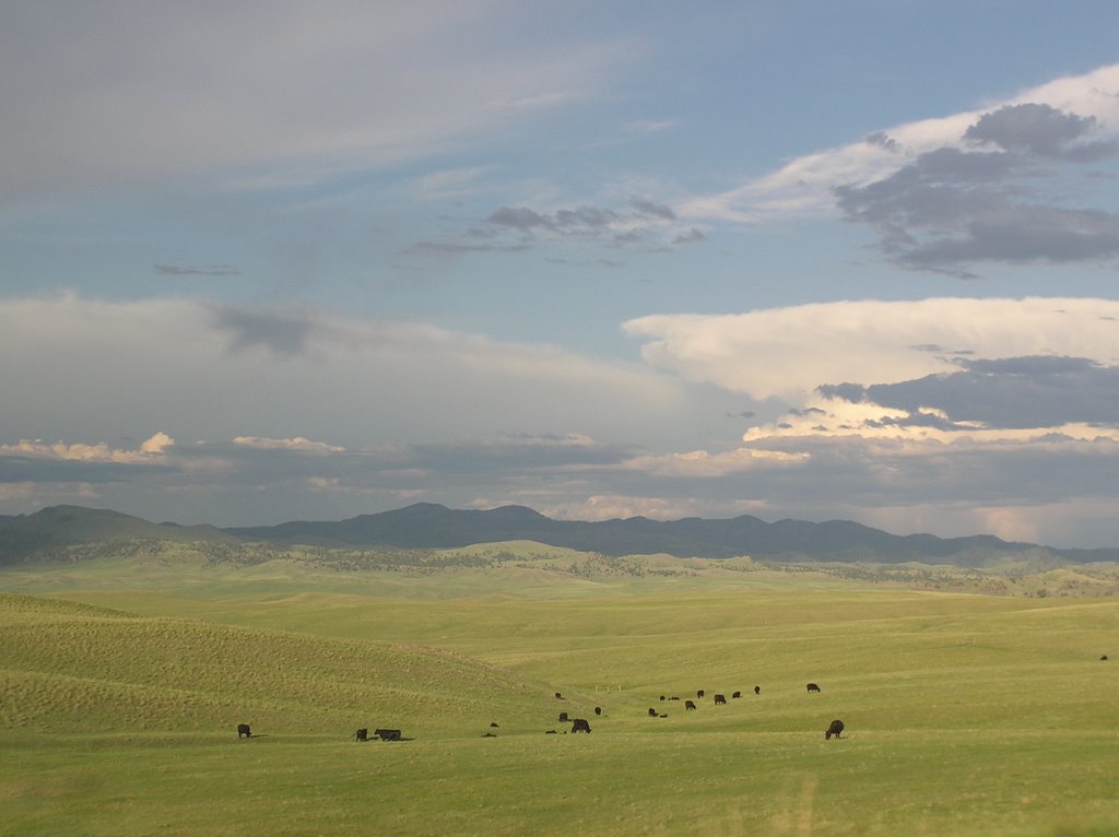 Montana Hunt District 406 Unit Profile // GOHUNT. The Hunting Company