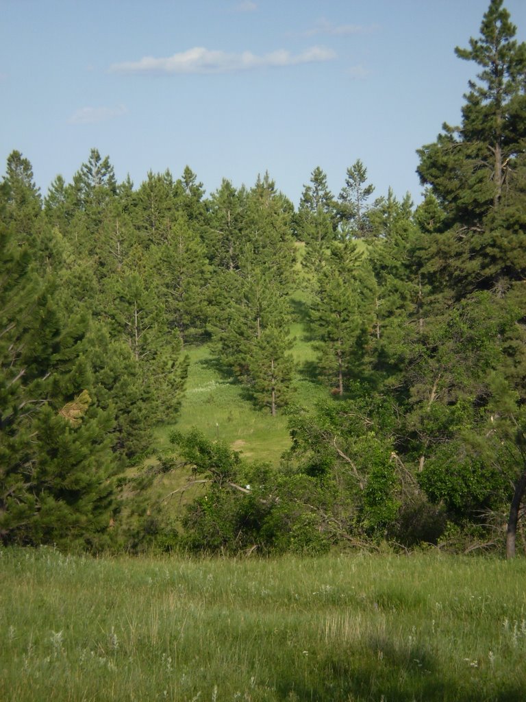 Montana Hunt District 705 Unit Profile - 25 Hunters are talking about ...