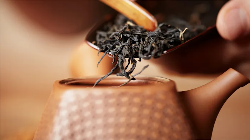 Types and Characteristics of Tea Leaves