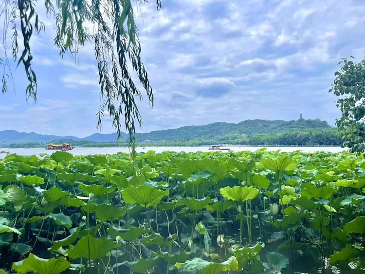 The Eternal Charm of West Lake: Exploring the Perfect Fusion of Chinese ...