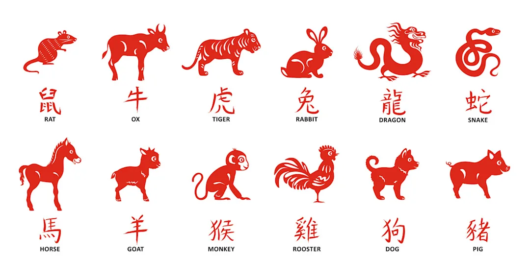 Chinese Culture Best Professions for Each Chinese Zodiac Sign