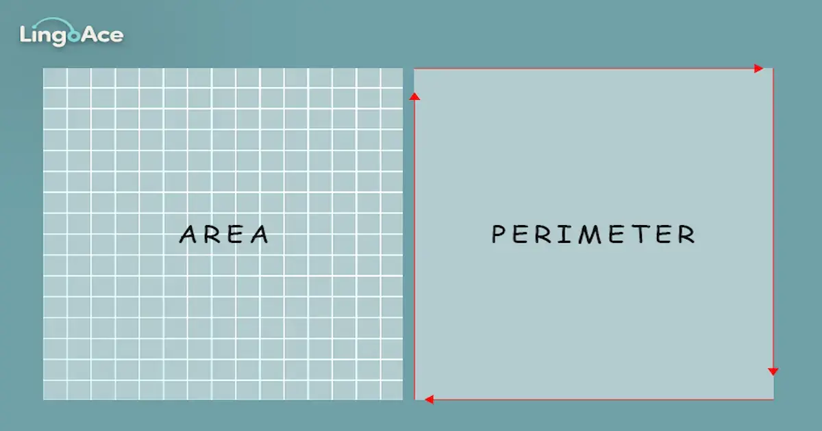 Area and Perimeter: How They Work in Different Shapes