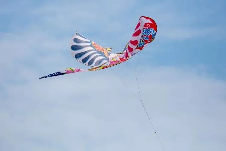 The History and Origins of Kites
