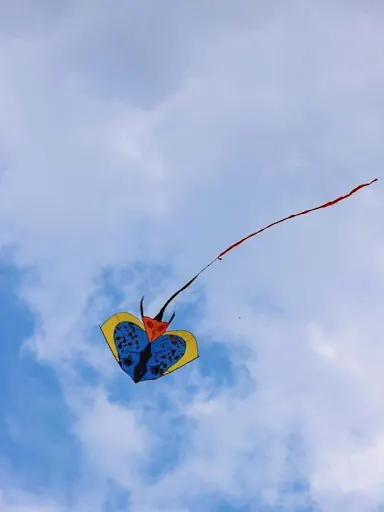 Unveiling the Art of Chinese Kite Making: Heritage and Charm of ...