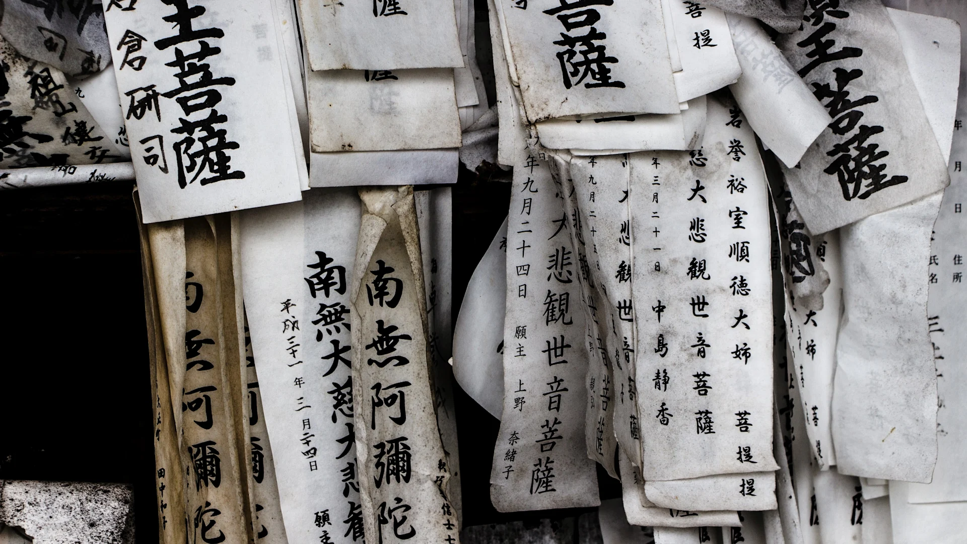 blog-images