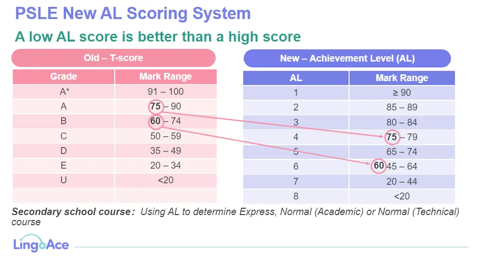 Common PSLE Chinese Composition Mistakes and Tips for High Scores