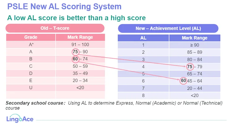 Common PSLE Chinese Composition Mistakes and Tips for High Scores