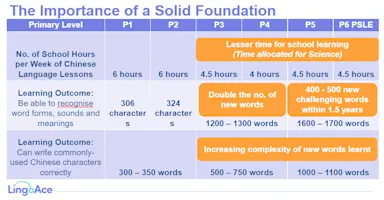 Common PSLE Chinese Composition Mistakes and Tips for High Scores