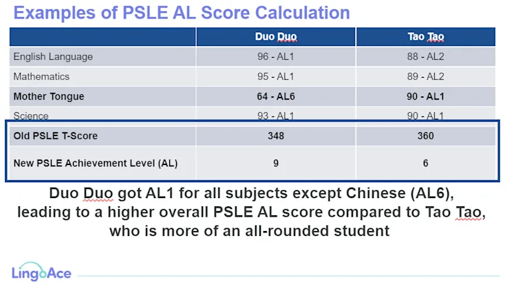 Common PSLE Chinese Composition Mistakes and Tips for High Scores
