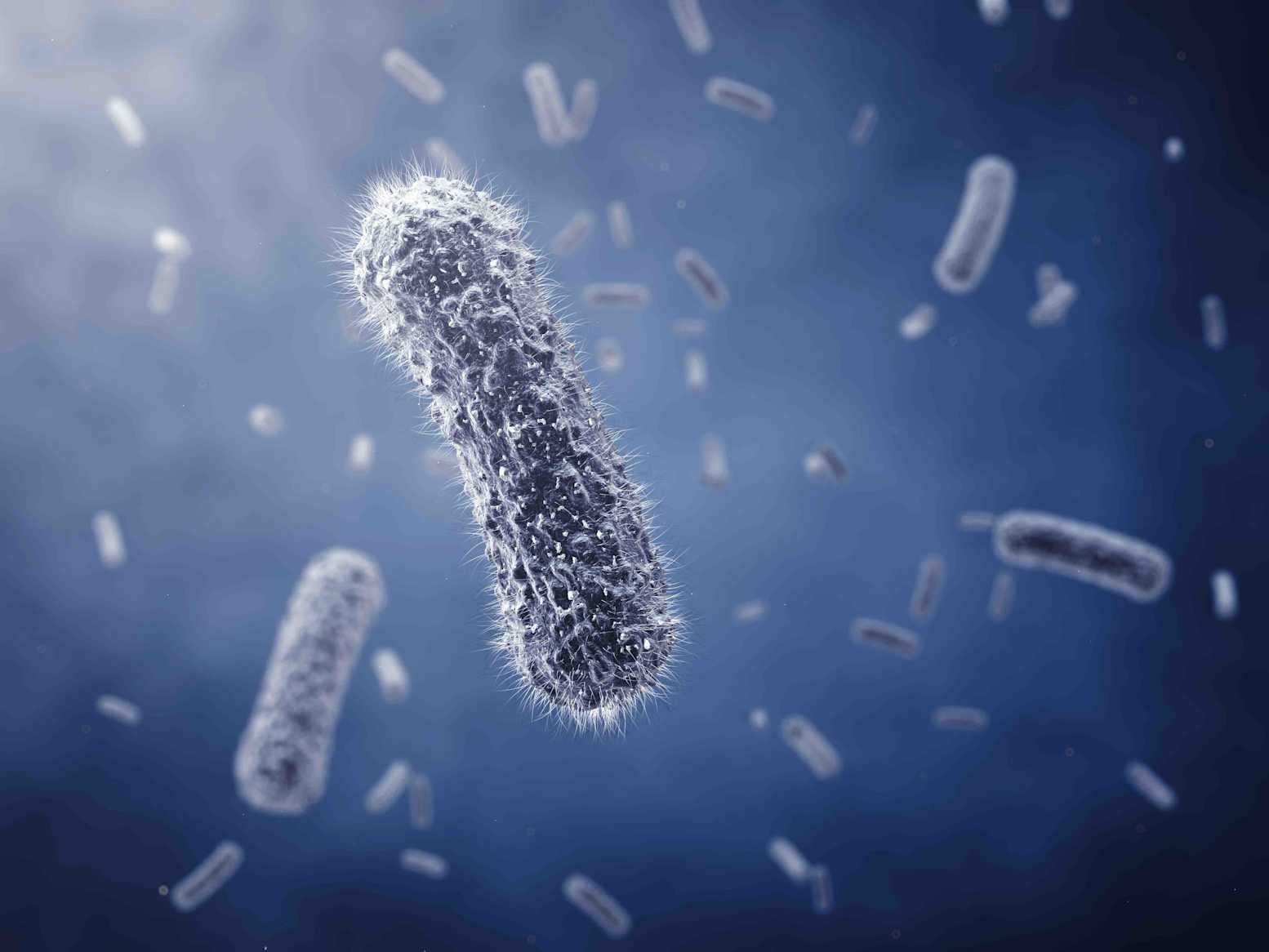 Dysbiose – Symptome, Ursache und Behandlung - CARA CARE