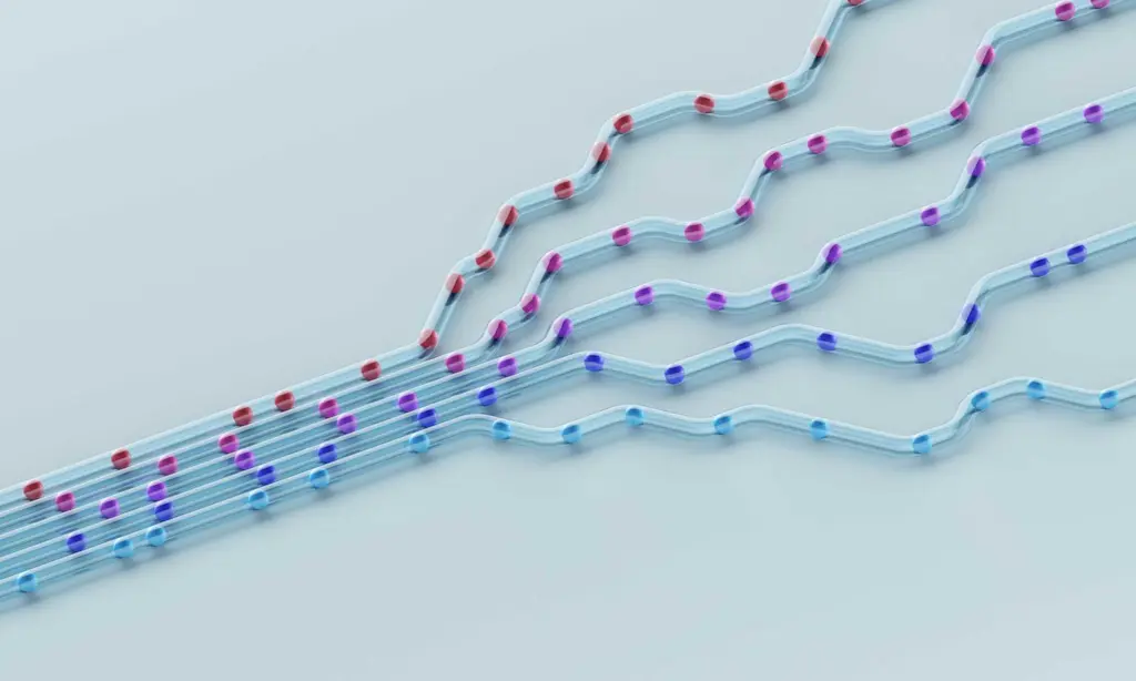 What funding is right for your capital raising strategy? - myNZTE