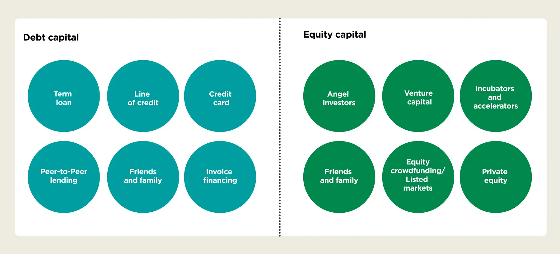All you need to know about raising capital - myNZTE