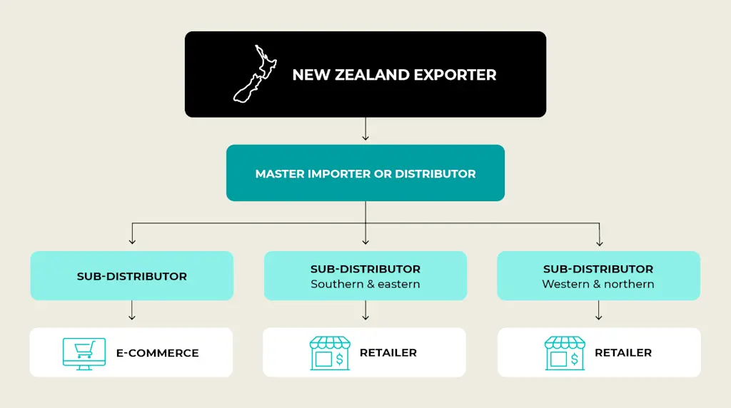 Setting up distribution and partnerships in India - myNZTE