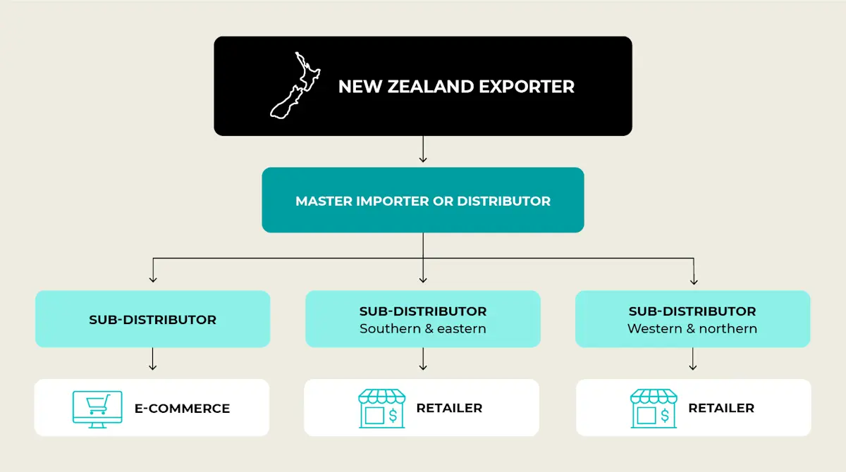 Setting up distribution and partnerships in India - myNZTE