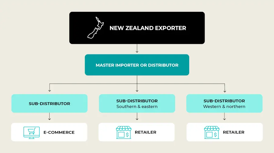 Setting up distribution and partnerships in India - myNZTE