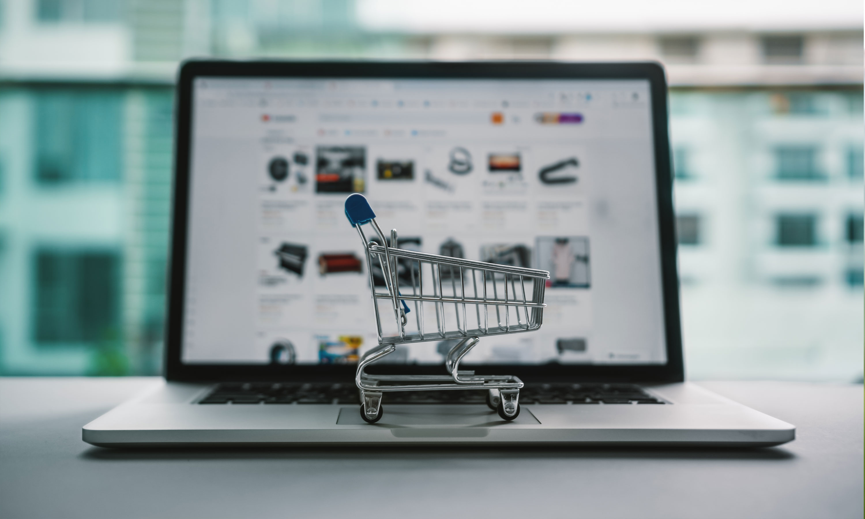 China Market Guide - myNZTE