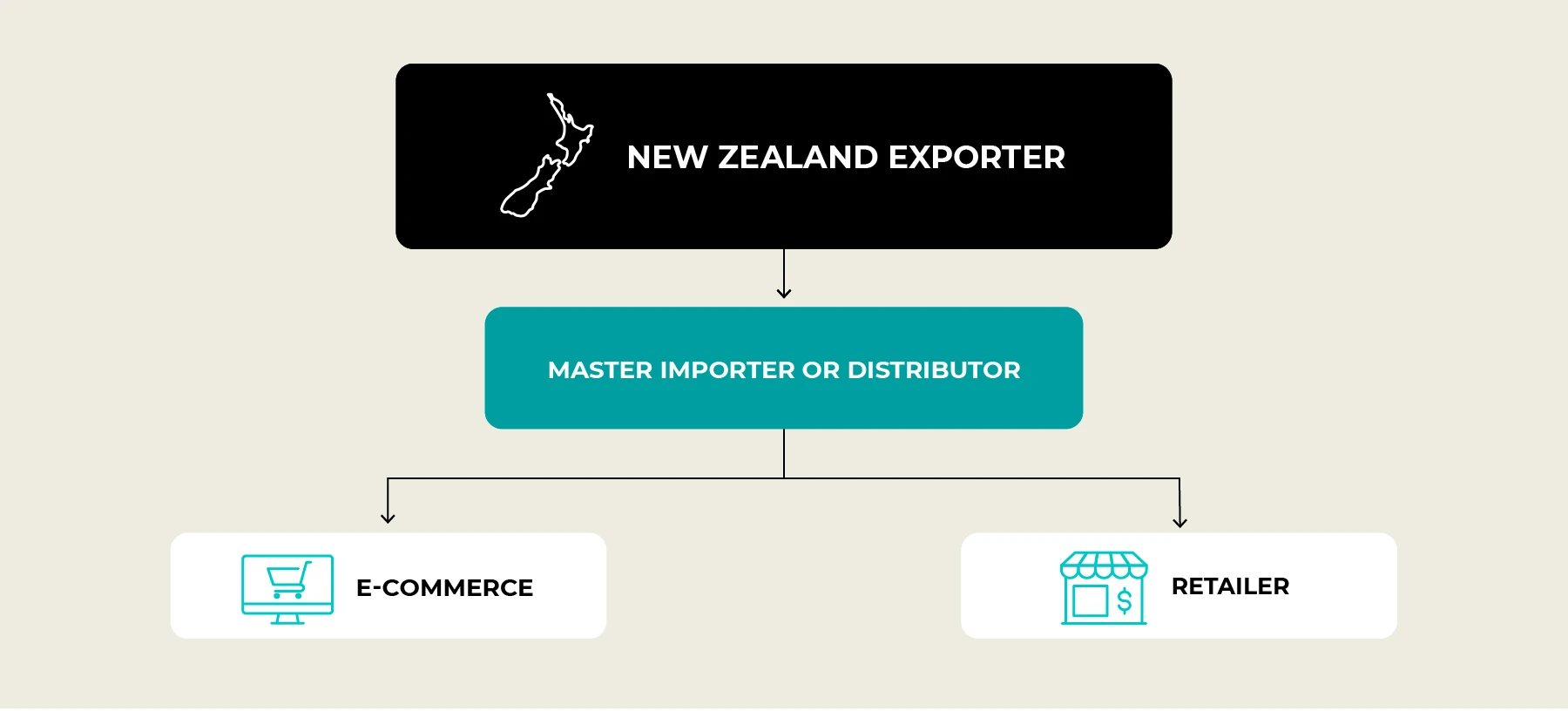 Setting up distribution and partnerships in India - myNZTE