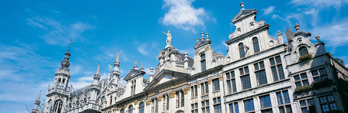 Belgium Market Guide - myNZTE