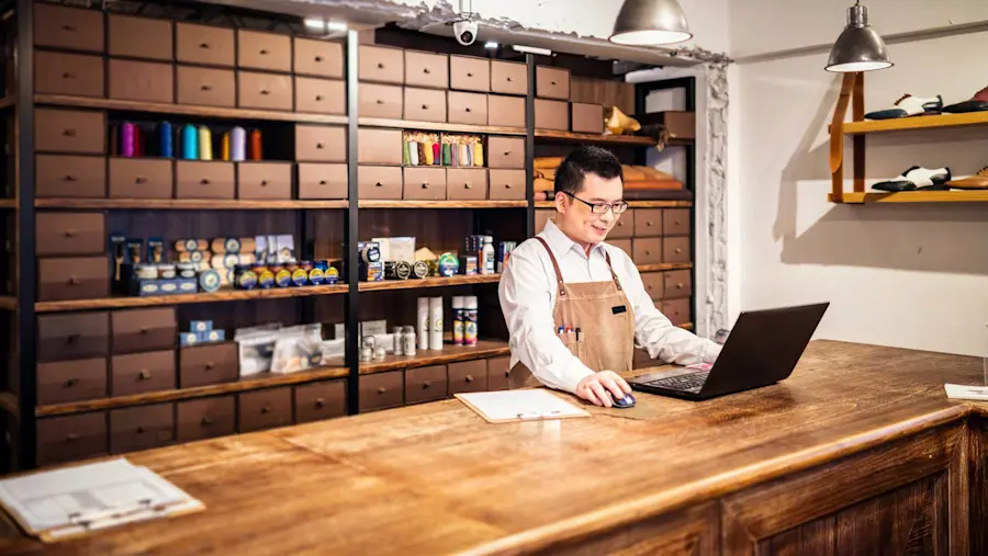 How to optimise Shopify to grow your business online - myNZTE