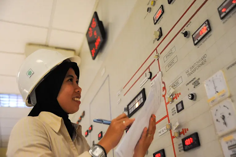 How Indonesian geothermal developers view international consultants ...