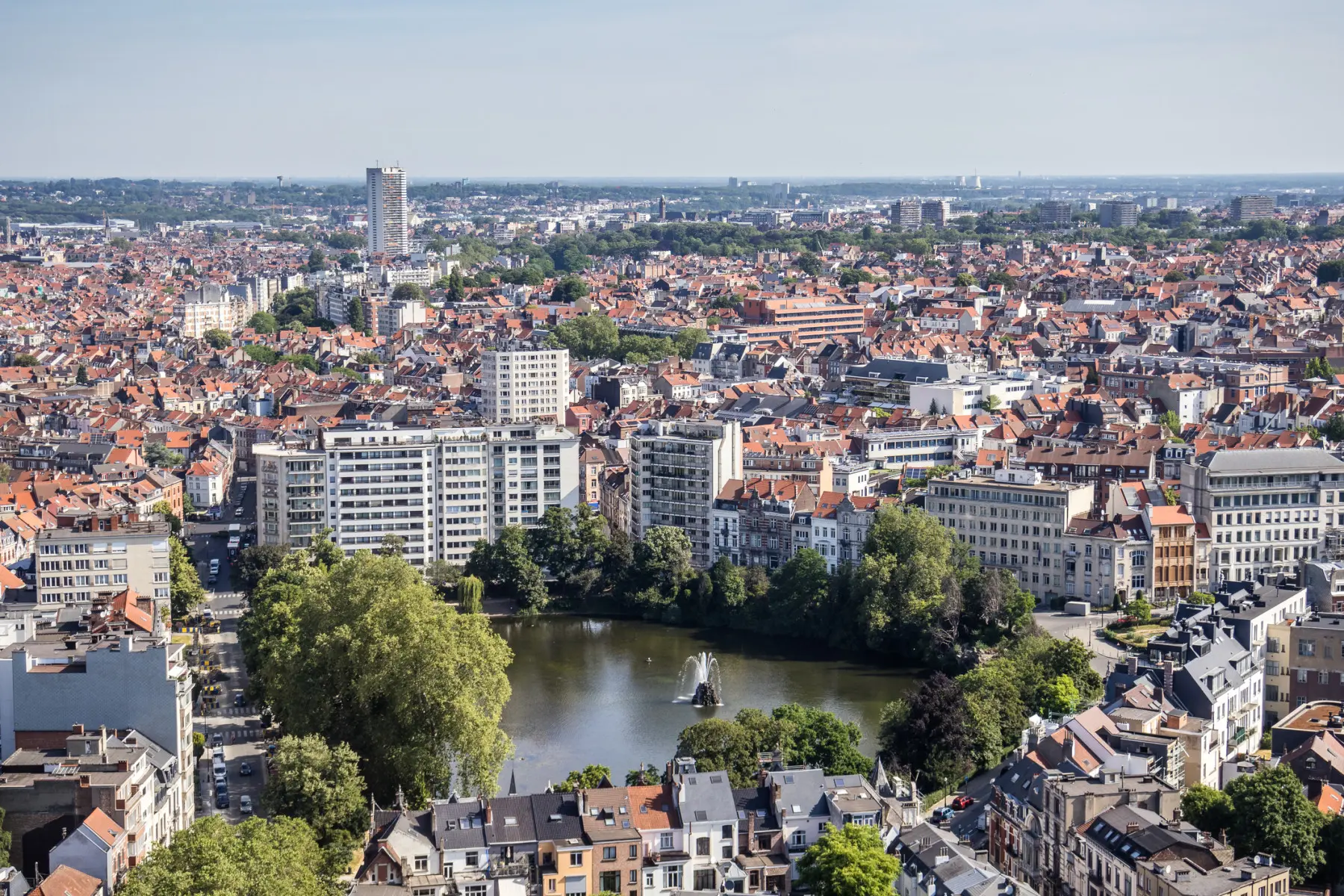 Is Belgium the right market? - myNZTE
