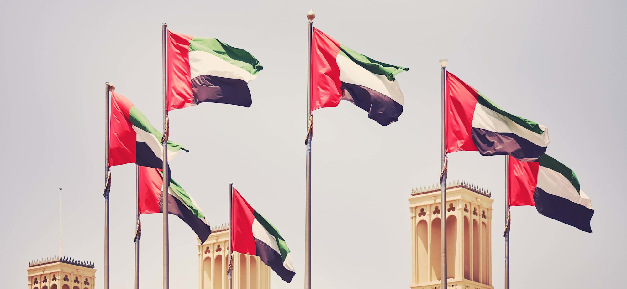 The UAE government's role in the F&B sector - myNZTE