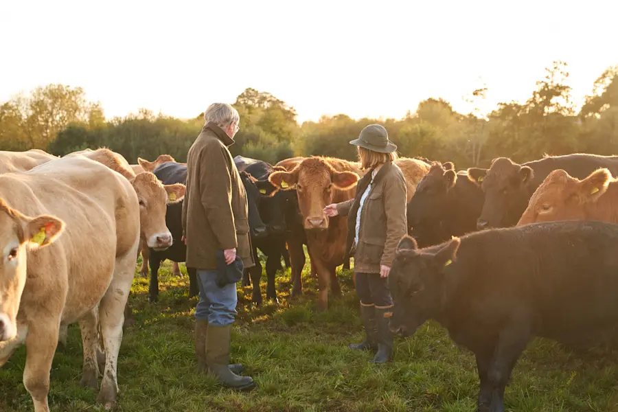Opportunities in the US pasture-raised dairy market - myNZTE