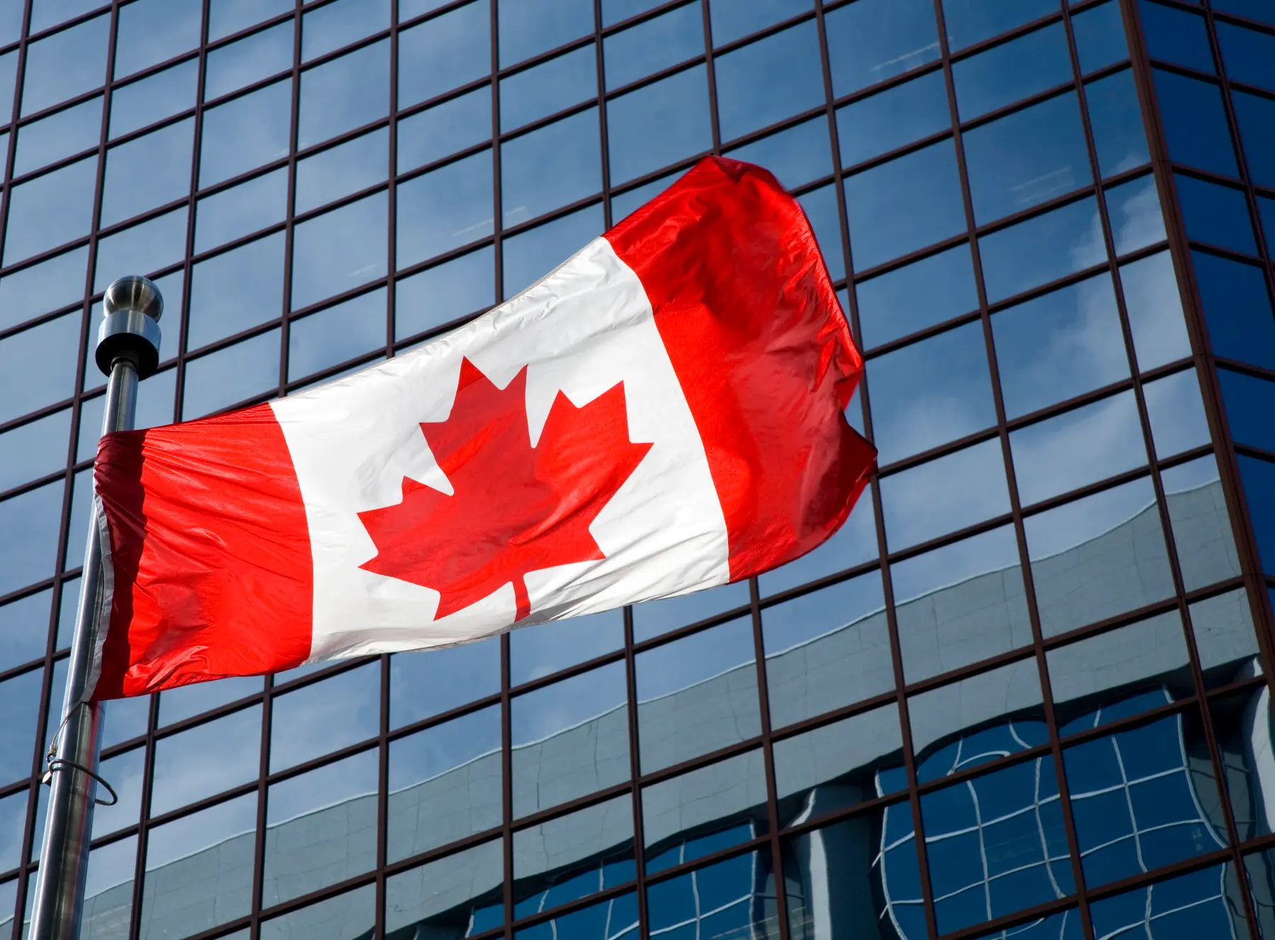 Which trading structure is right for my Canadian export business? - myNZTE
